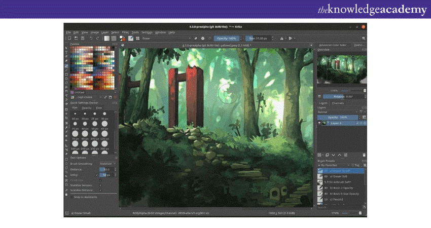 10+ Best GIMP Alternatives That You can USe